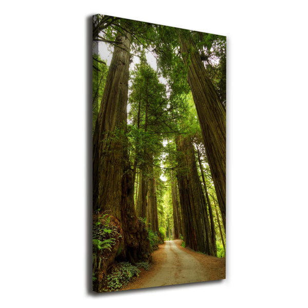 Union Rustic Pfad im Wald - Kunstdrucke auf Leinwand | Wayfair.de